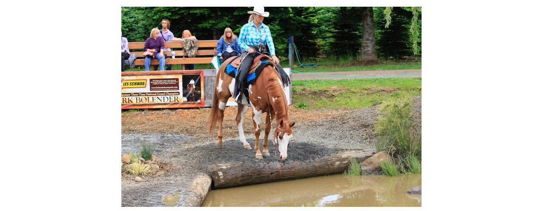 Natural Versus Man-Made Trail Obstacles-Colorado Horse Source