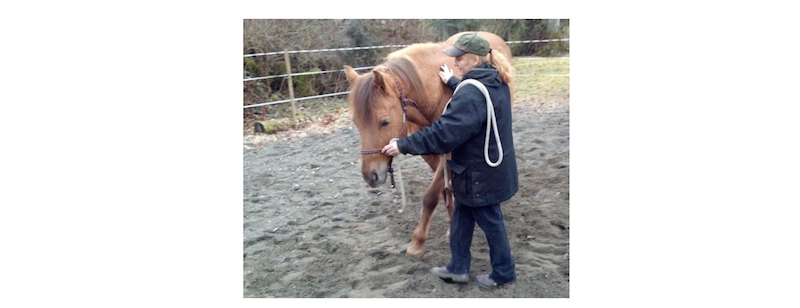 Riding Well Grounded - More Exercises to Help Build a Smooth Side Pass ...