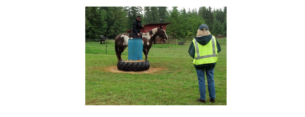 Riding Well Grounded - Succeeding at Obstacle Challenges-Colorado Horse ...