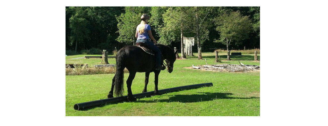 Riding Well Grounded - Straddle Pole-Colorado Horse Source