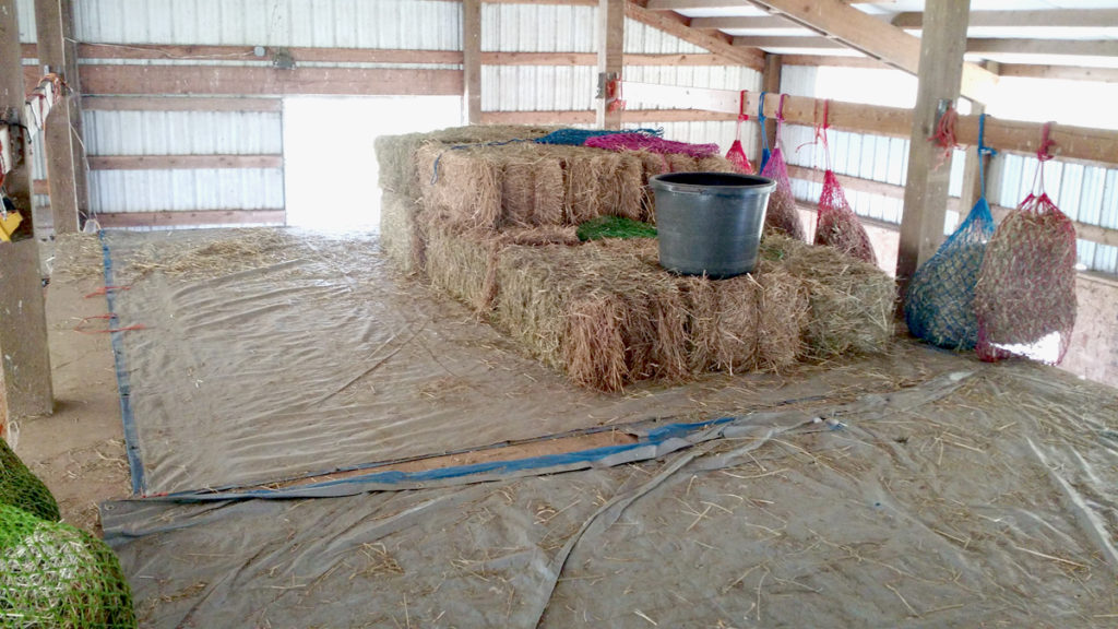 Tips for a Healthy Hay Loft-Colorado Horse Source