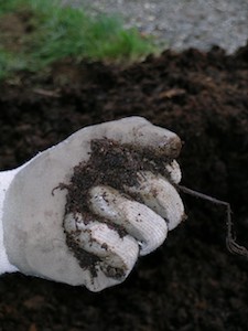 Pass the Compost Squeeze Test!-Colorado Horse Source