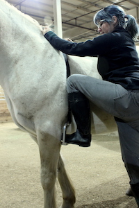 Product Review: The Solo-Ride Mounting Aid-Colorado Horse Source