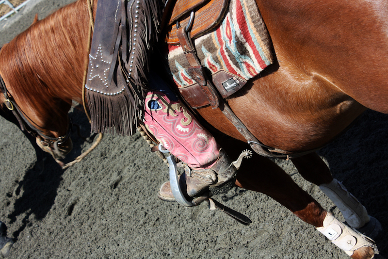 The Spur-Colorado Horse Source