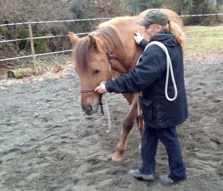 Riding Well Grounded - More Exercises to Help Build a Smooth Side Pass ...