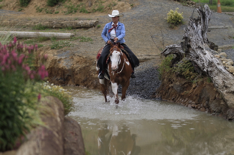 Natural Versus Man-Made Trail Obstacles-Colorado Horse Source