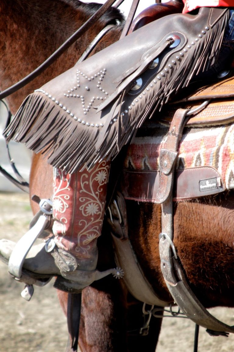 The ABC’s of Leg Yielding-Colorado Horse Source