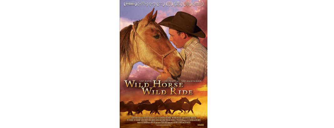 Wild Horse, Wild Ride-Colorado Horse Source