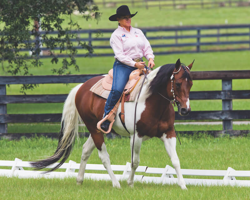 Western Dressage Tips-Colorado Horse Source