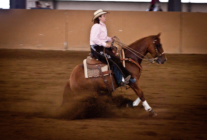 “Dear Allison…”-Colorado Horse Source