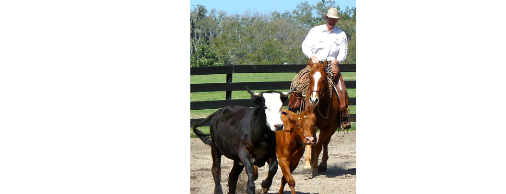 Pat Parelli Purchases His Road to the Horse Colt from the 6666 Ranch ...