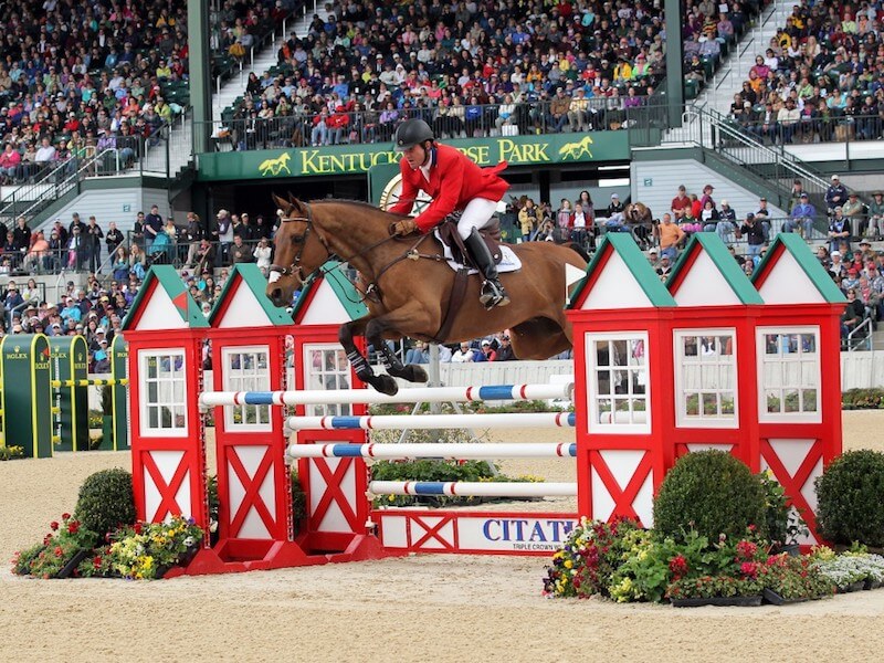 RevitaVet™ Provides Light Therapy Products for the Health of Your Horse ...