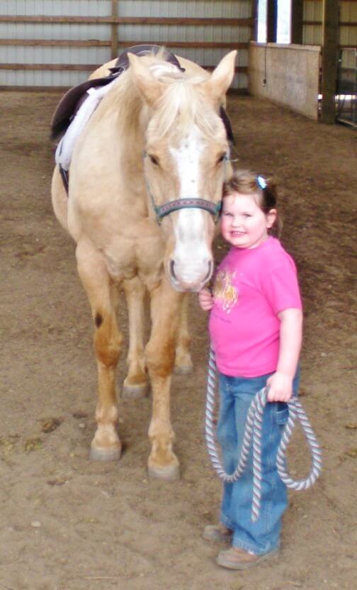 Multi-discipline Equestrian Facility Features Something for Almost ...