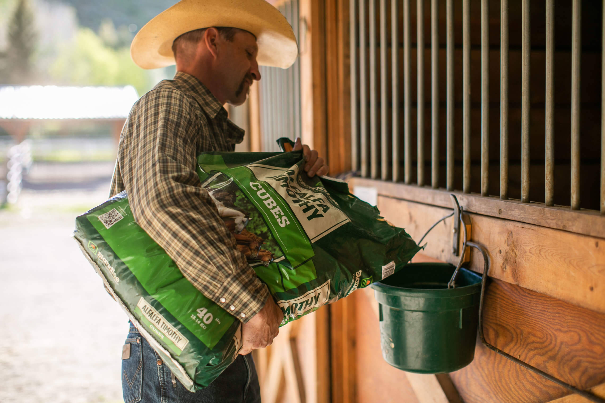 Standlee Forage.Alfalfa Timothy Cubes - Colorado Horse Source