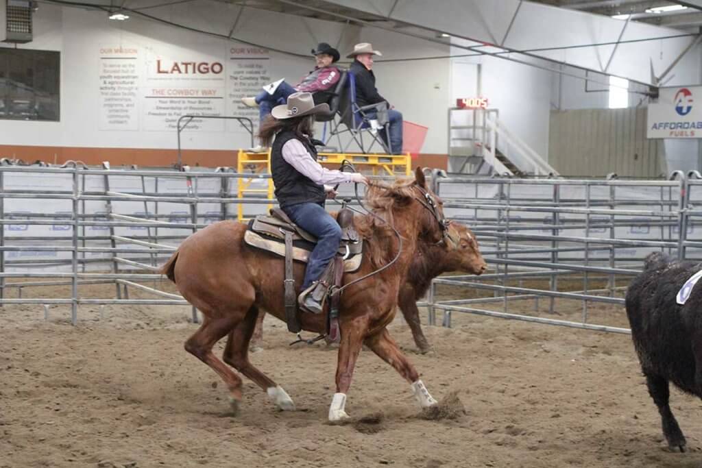 Ranch Sorting Saddle Series Kicks off 2022 Season! - Colorado Horse Source