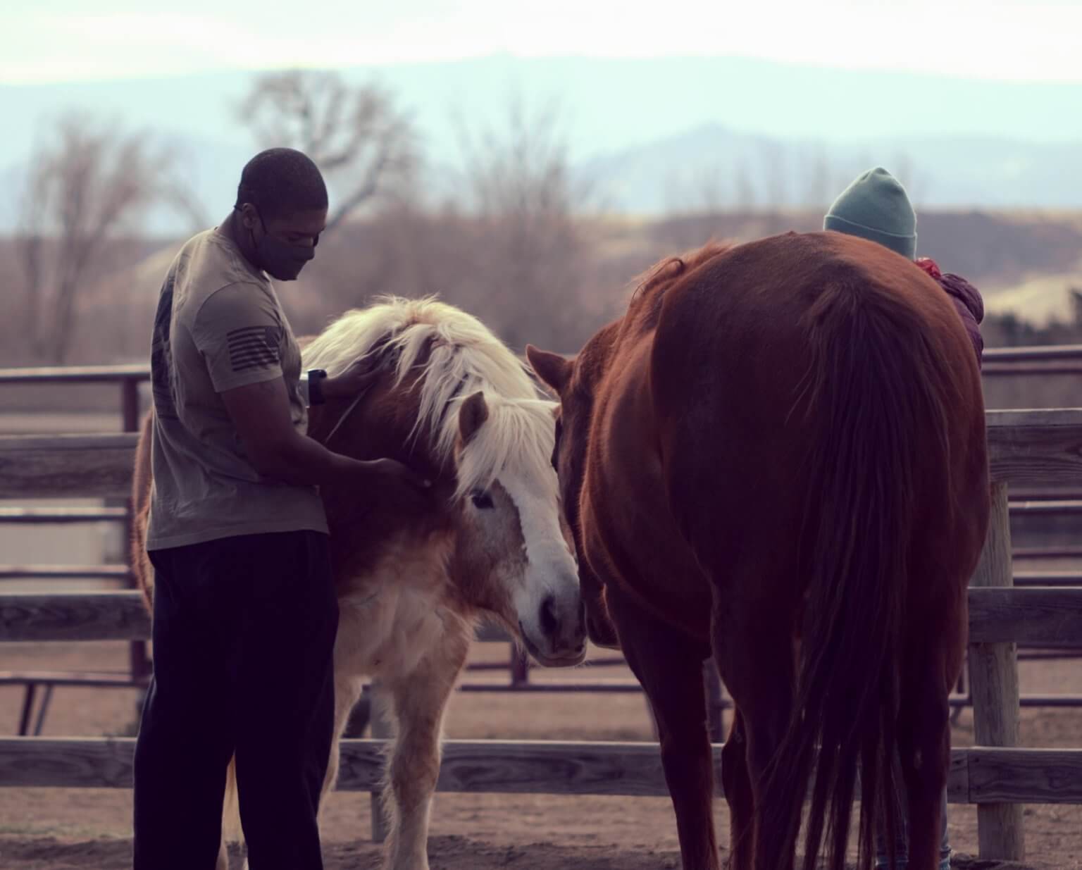 What to Know About Adopting a Rescue Horse-Colorado Horse Source