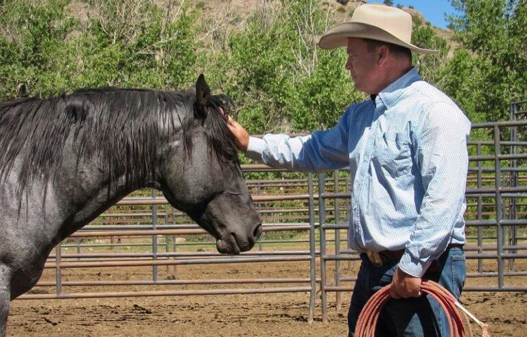 Trainer's Corner: Ken McNabb’s Colt-Starting Tips-Colorado Horse Source