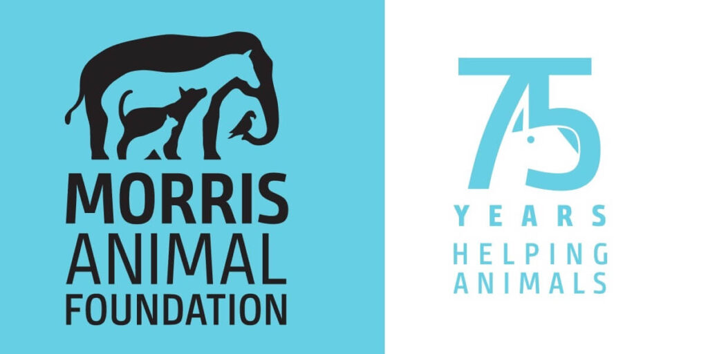 Morris Animal Foundation Day declared by Gov. Jared Polis-Colorado ...