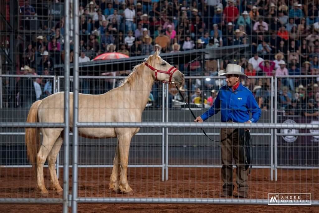 Horse Gentler Monty Roberts Tames a Wild Horse In Front of 30,000 ...