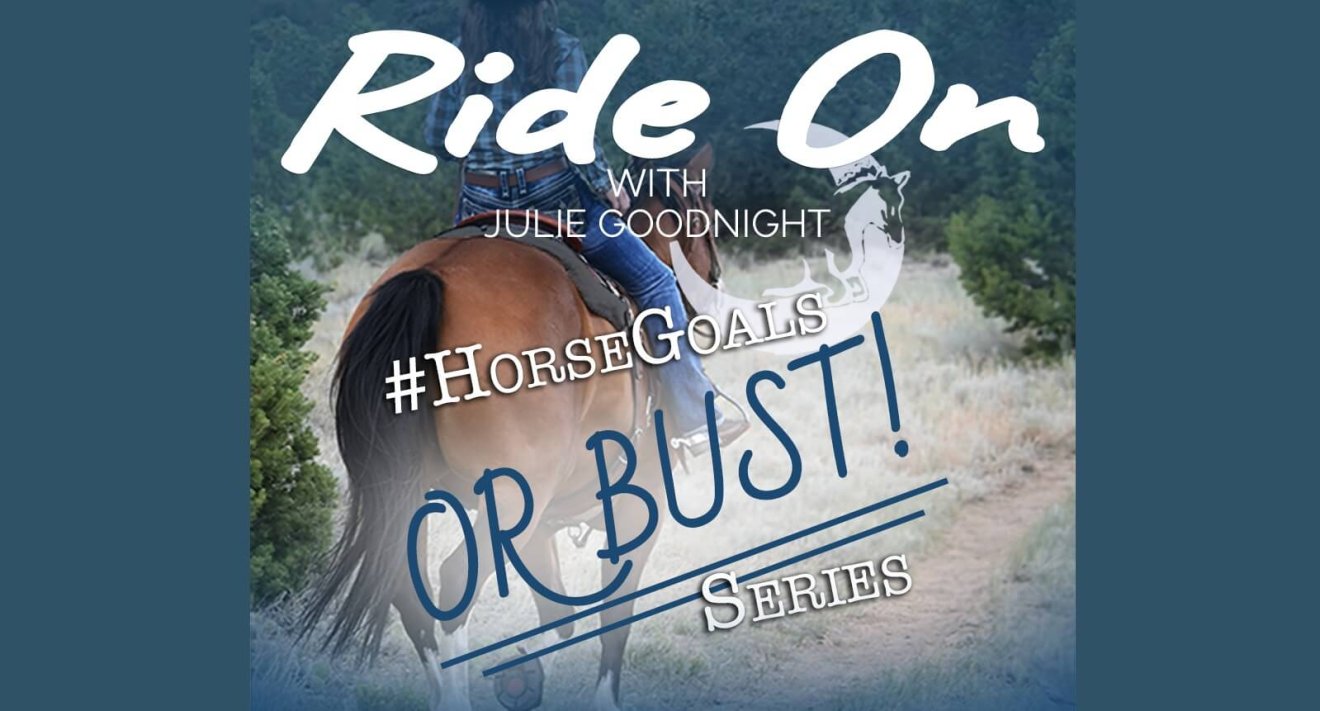 New & Noteworthy: Going Somewhere New? Prepare for a Horse’s Changing ...