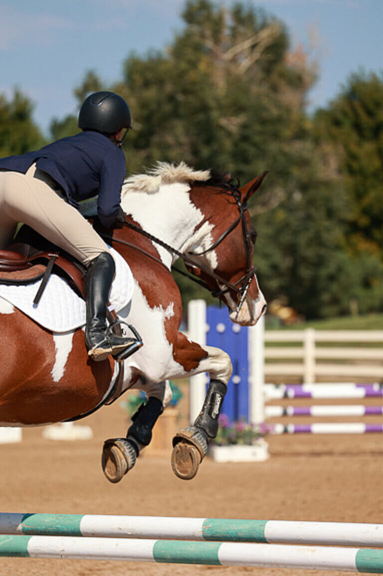 Grace Keese of Graceful Horsemanship-Colorado Horse Source